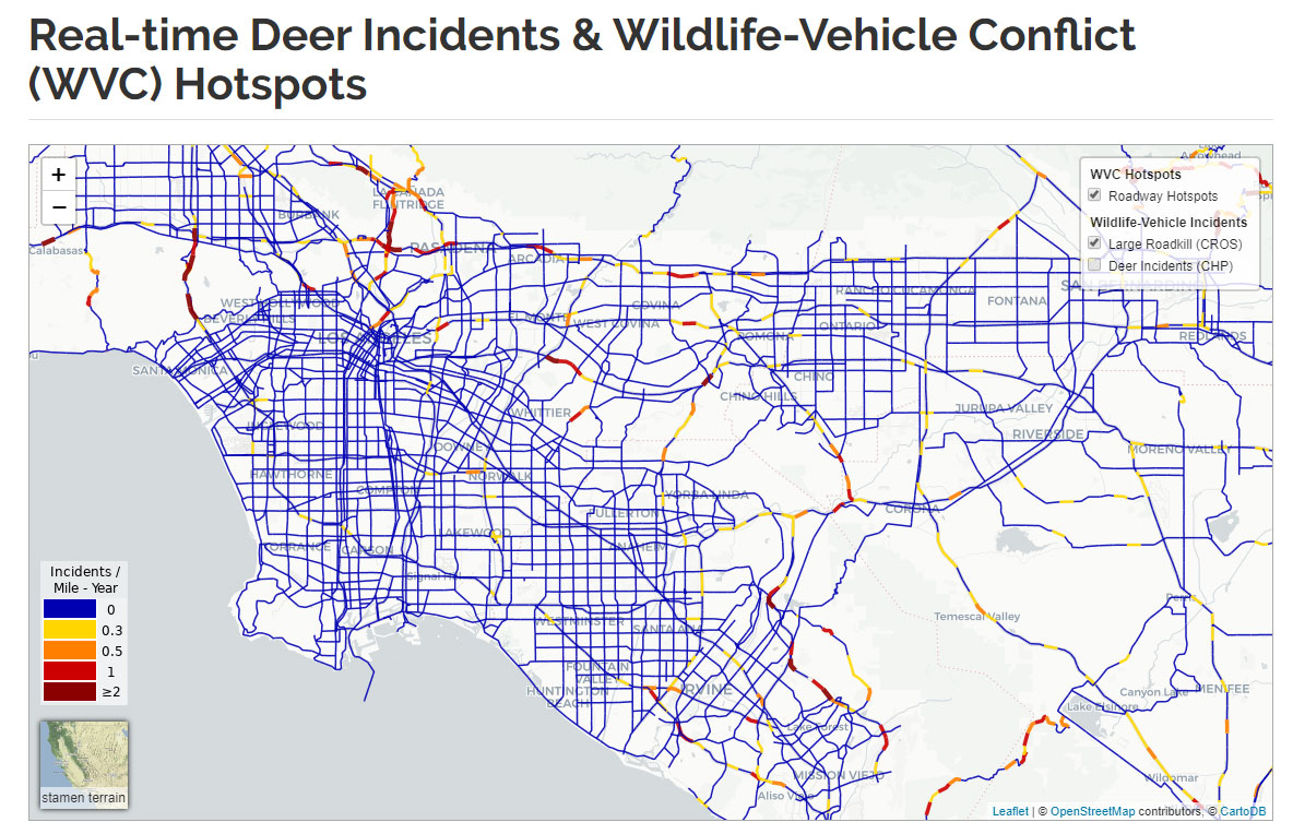 Report Roadkill | Hills For Everyone